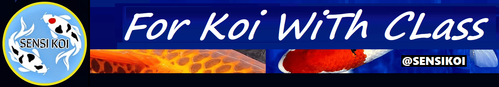 Over ons - Sensi Koi